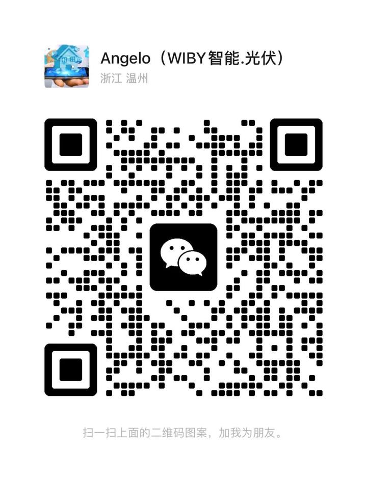 携手合作 共同盈利--意大利新能源公司Wiby Energy亮相意大利里米尼国际可再生能源展_南非_新闻_华人头条