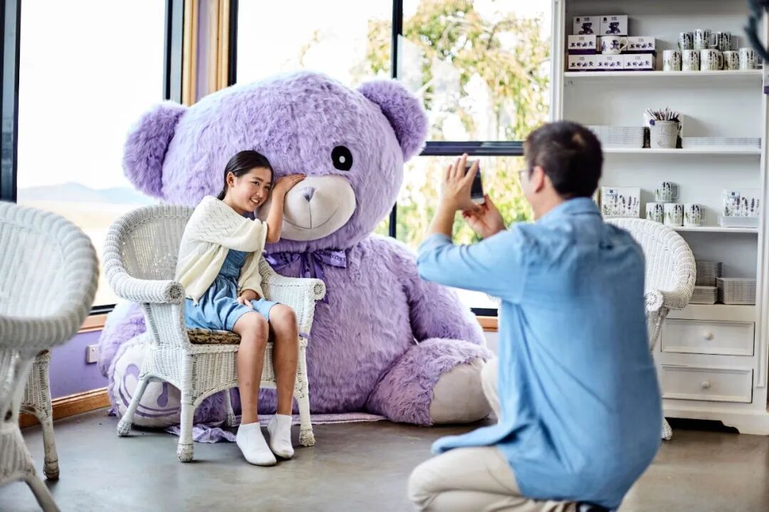 塔斯马尼亚的紫色浪漫_中国澳门_新闻_华人头条